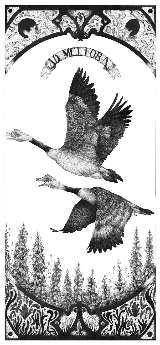 Stunning student artwork takes the spotlight – Lyon Life